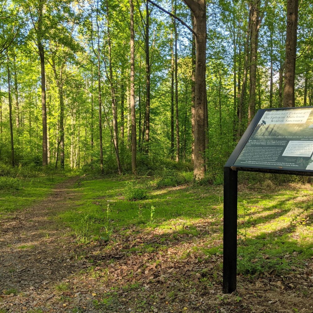 Ephraim Malickson Wildlife Sanctuary - Berks Nature