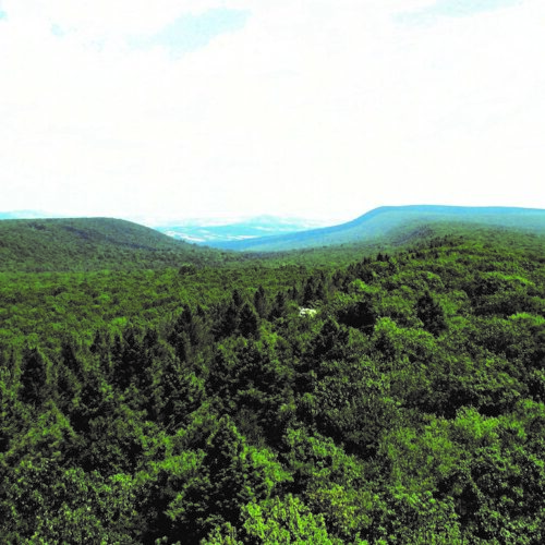 Kittatinny Ridge - Berks Nature