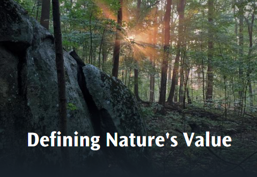 Business of Nature - Berks Nature